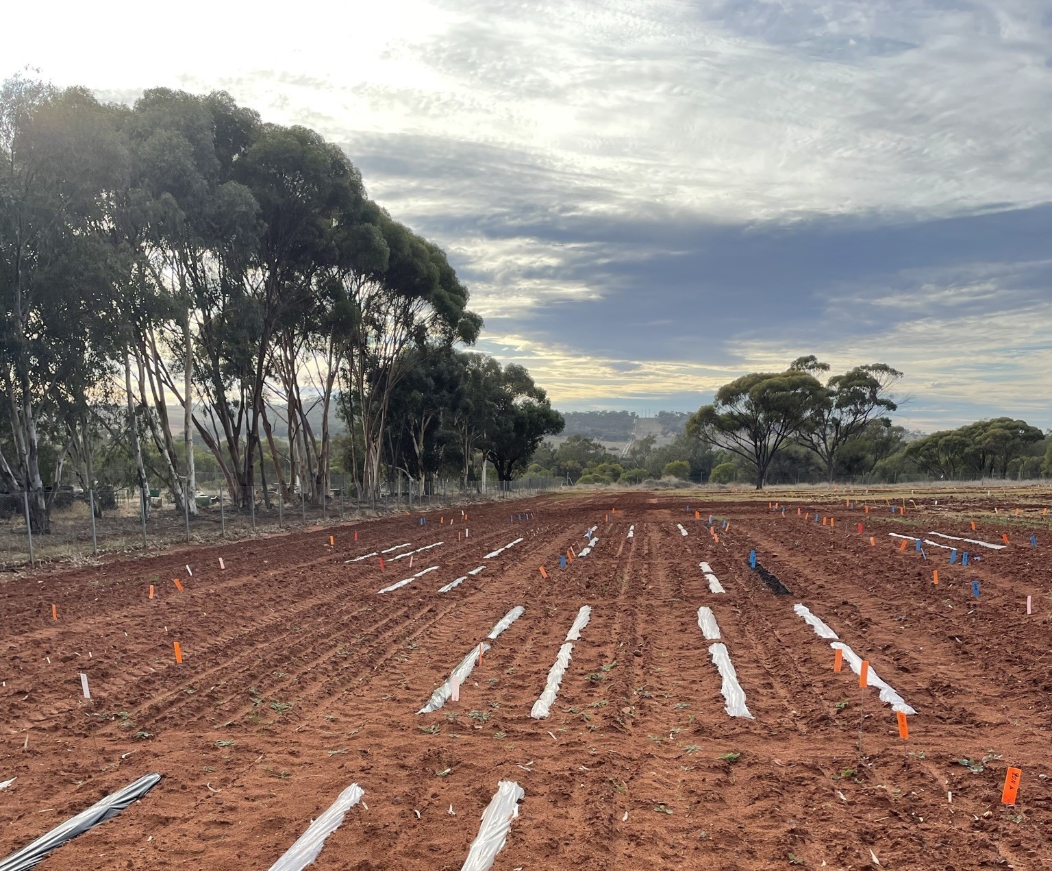 New Australian site - GCRF Plastics Project